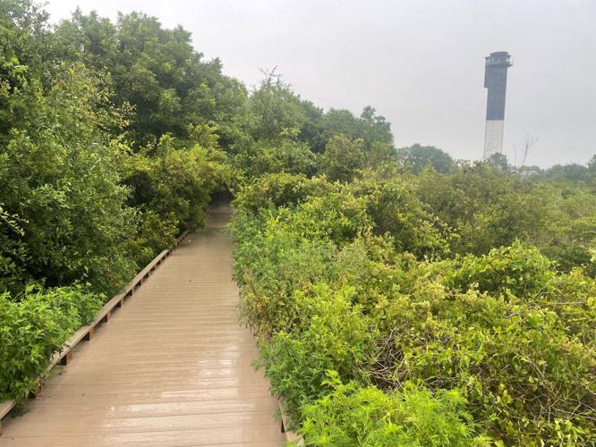 Editorial: Expand public access in Sullivan's Island's maritime forest