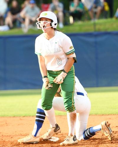 RiverDogs to honor All-Lowcountry baseball, softball teams