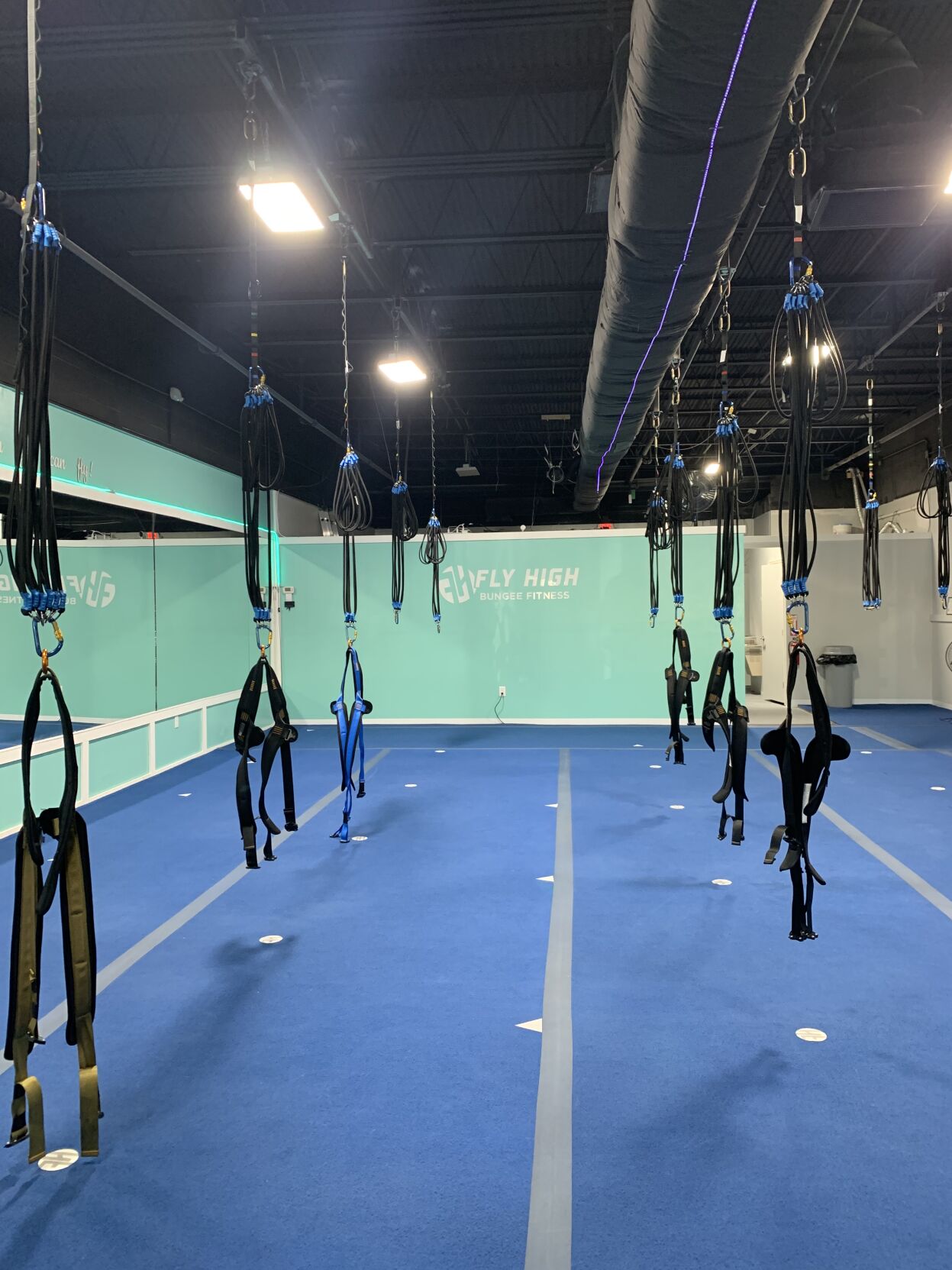 Fly High Bungee Fitness takes working out to new heights
