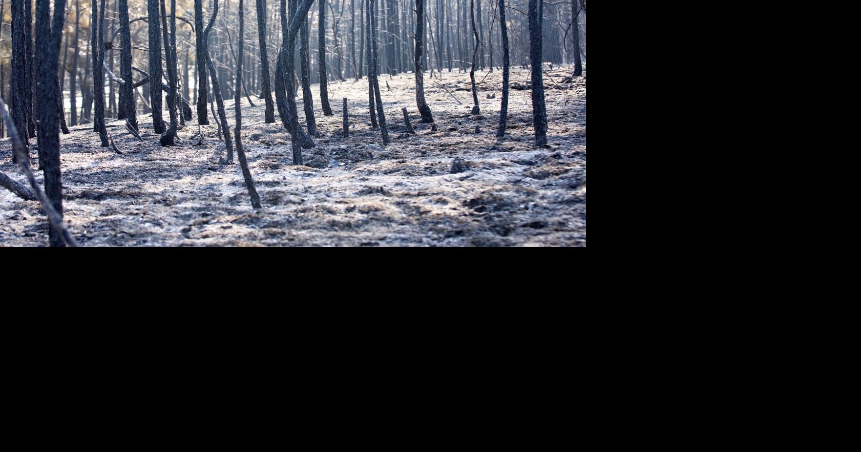 'The Gateway Fire': Hundreds of acres burned, dozens evacuated, flare ...