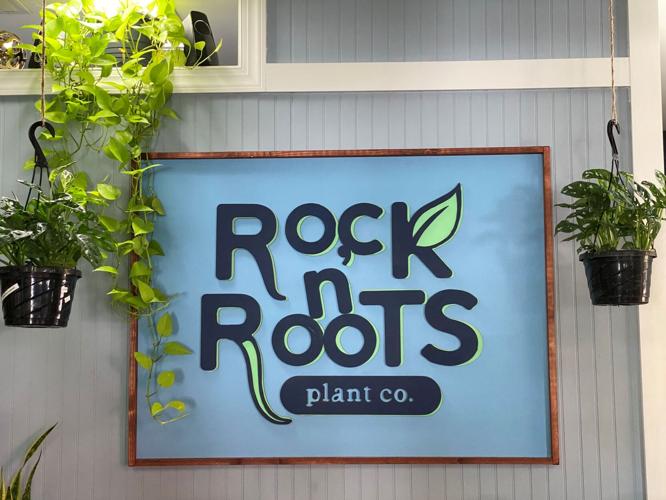 New Pawleys plant shop, Rock n' Roots, opens at The Village Shops ...