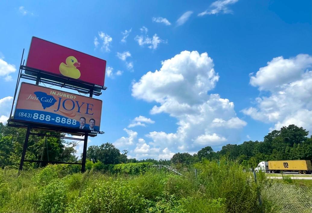 Why are rubber ducks on roadside billboards across SC?