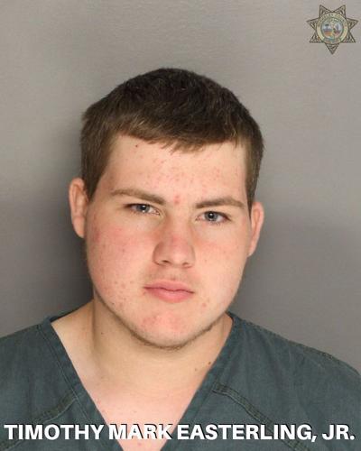 Summerville-area teen charged with murder after fatal shooting | News | postandcourier.com