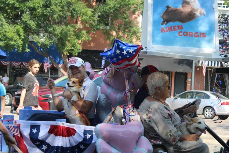 Patriotic dogs stroll downtown Aiken for parade