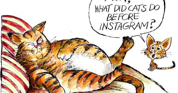 How I became a cat person