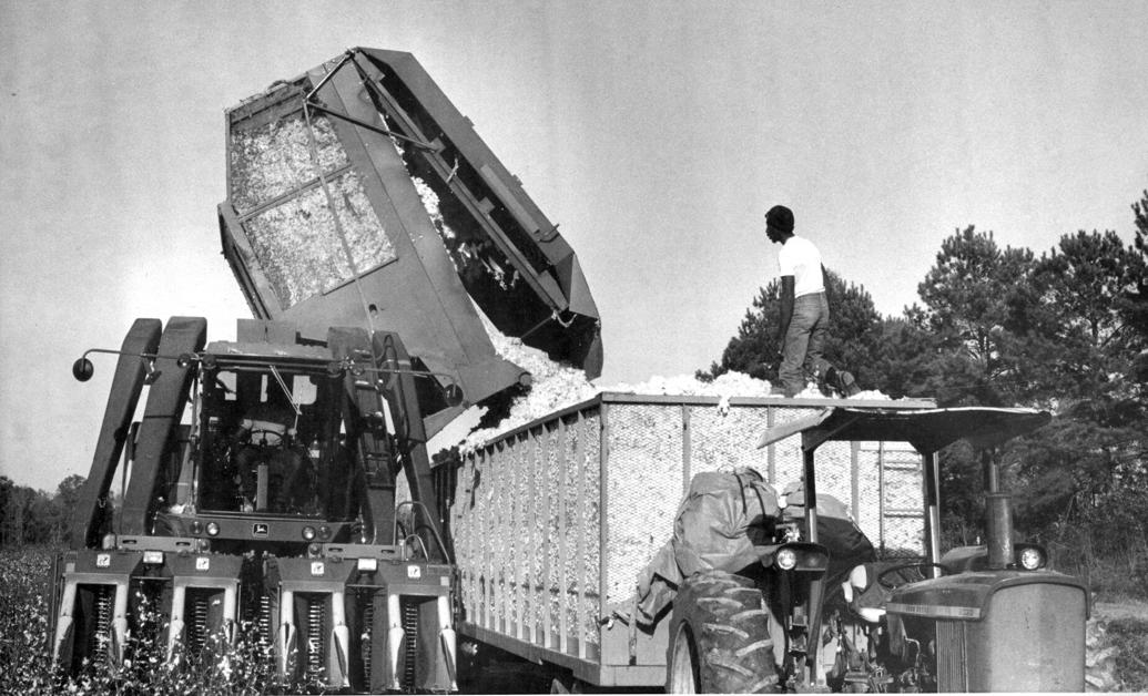 What is the Pee Dee, South Carolina's northeastern region?