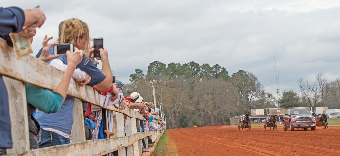 Weather forces McGhees' Mile Harness Races to be postponed until Sunday