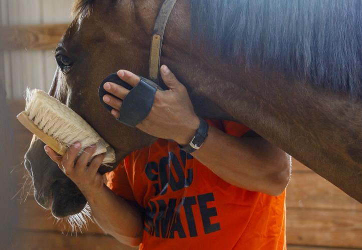 Inside the horse program at Wateree prison in Sumter County