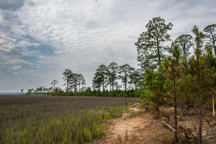 Photos: 2,700 acres of former Chelsea Plantation preserved