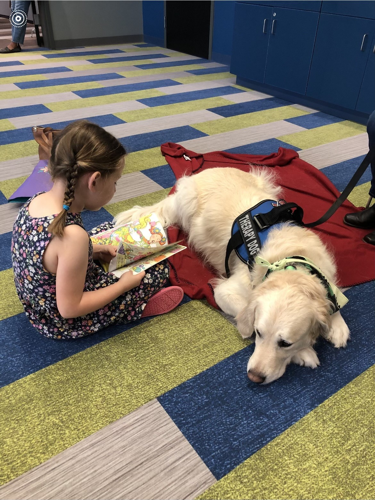 Reading with therapy dogs | Community News | postandcourier.com