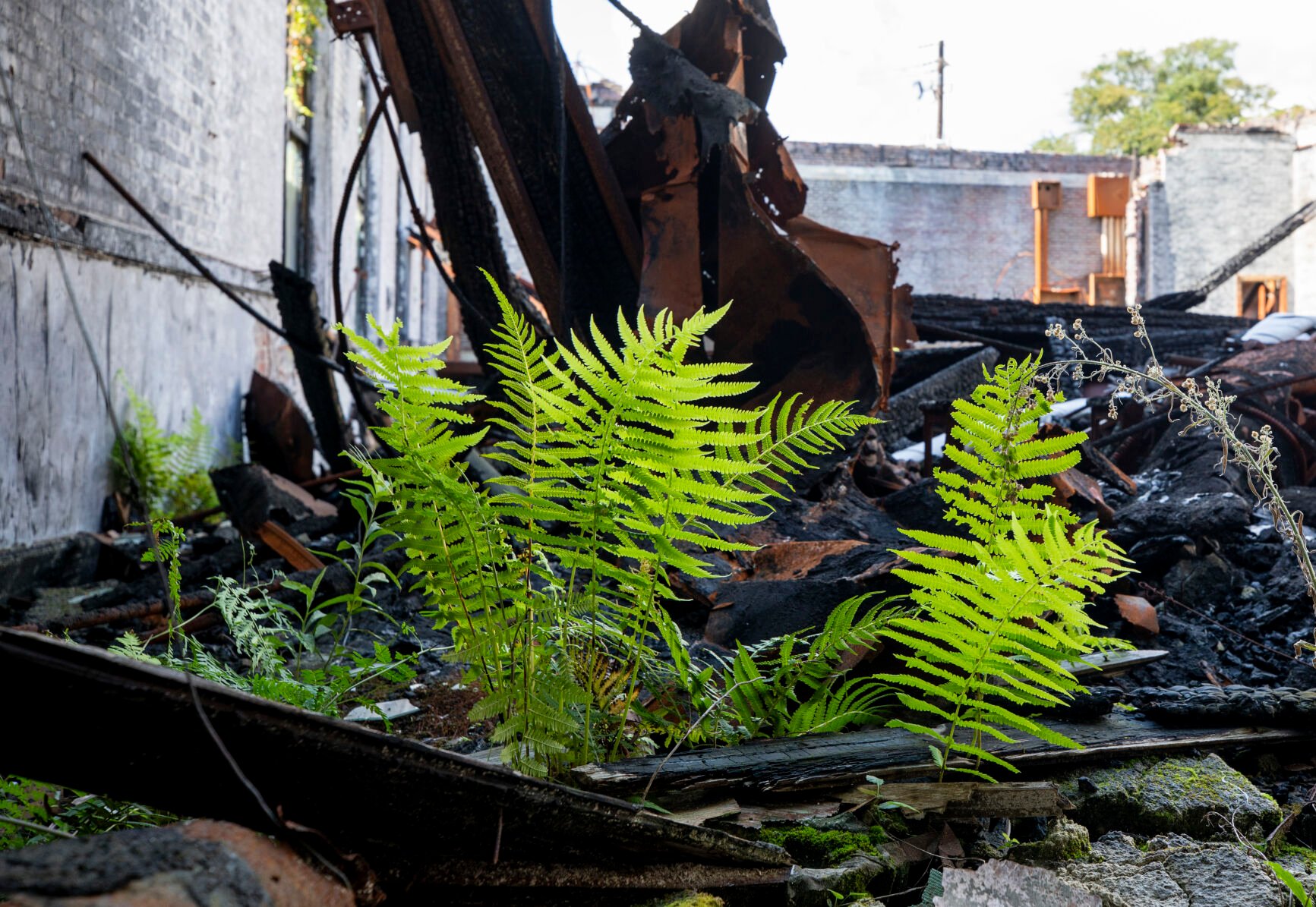 Catholic high school to open in old Chicora school building