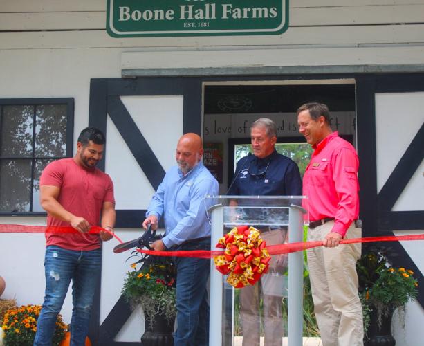 Boone Hall Farms raises curtain on giant corn maze