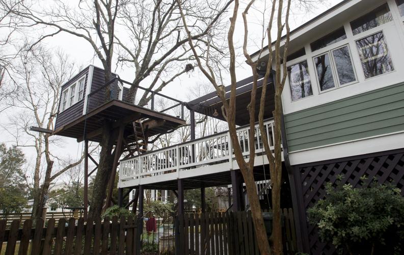 High-end treehouses around Charleston get new scrutiny as their ...
