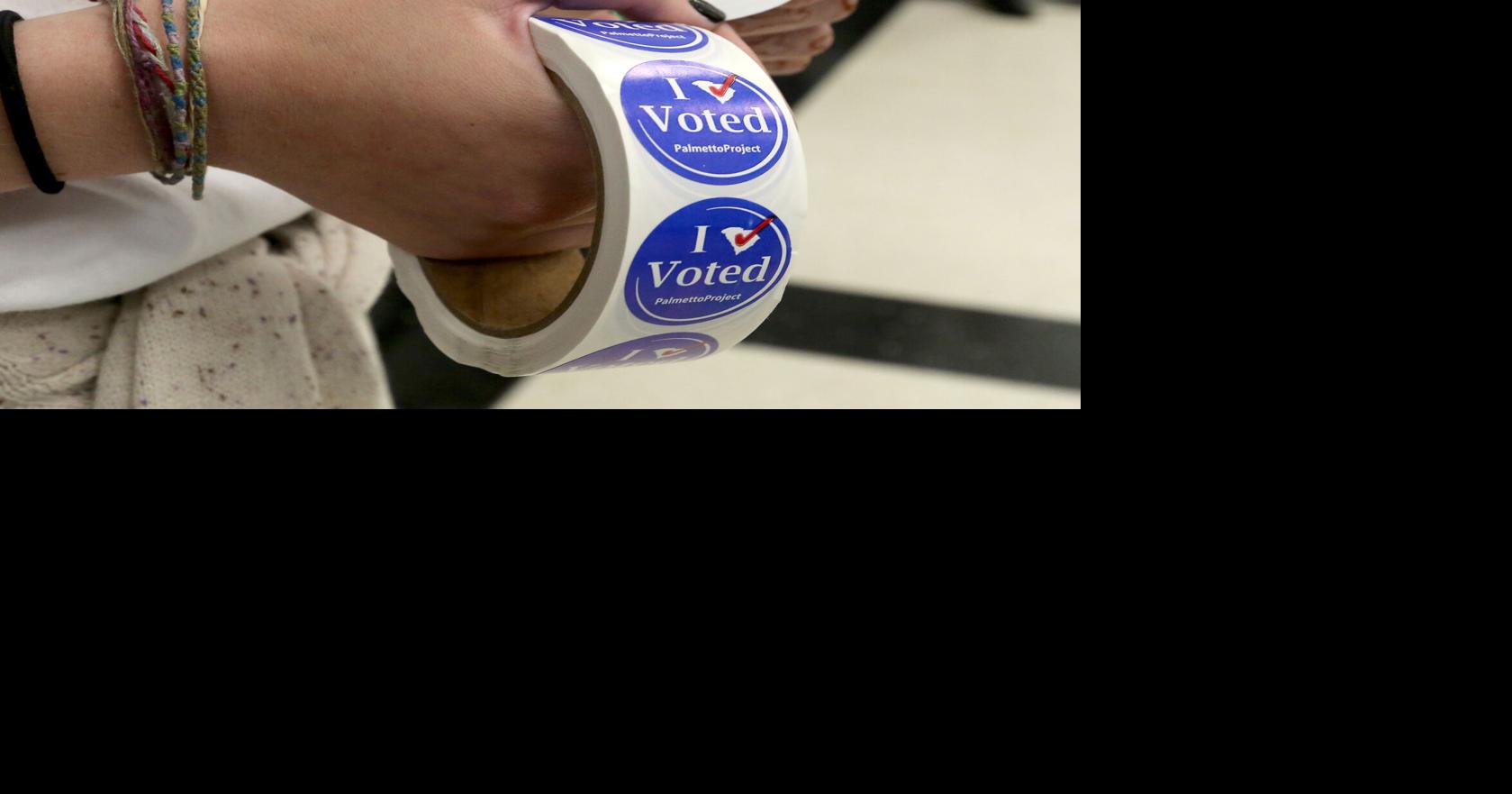 Interim director of SC election agency, Howard Knapp, gets job permanently