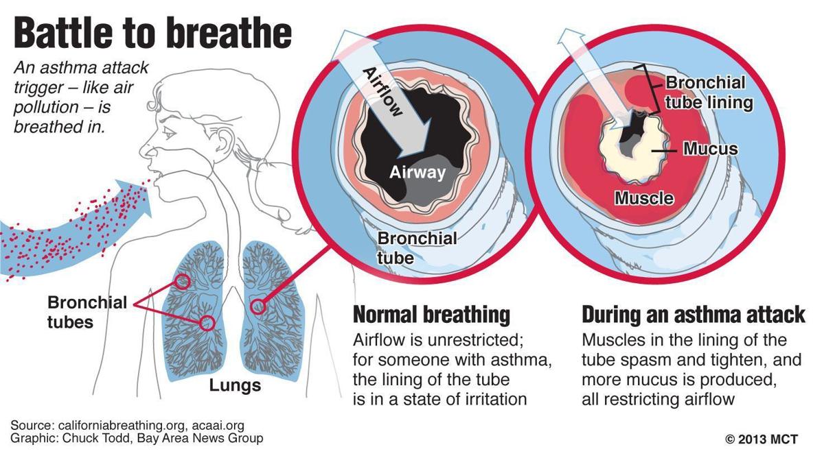 asthma attack triggers