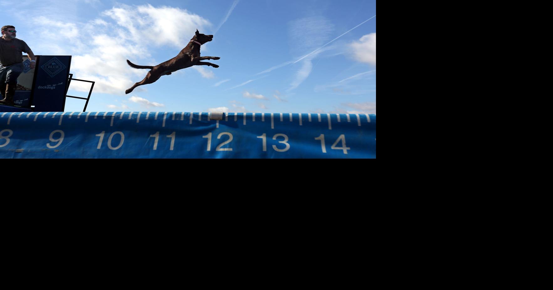 SEWE at 40: How the event, and Charleston, grew together as a ...