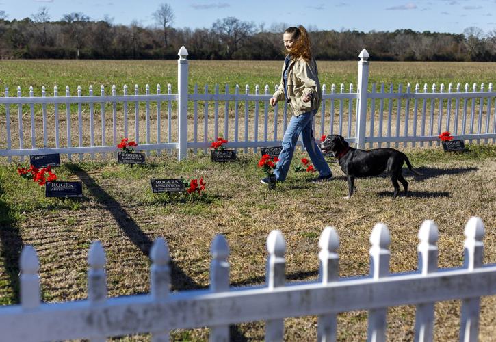 SLED investigates Dillon Animal Shelter for cruelty after former ...