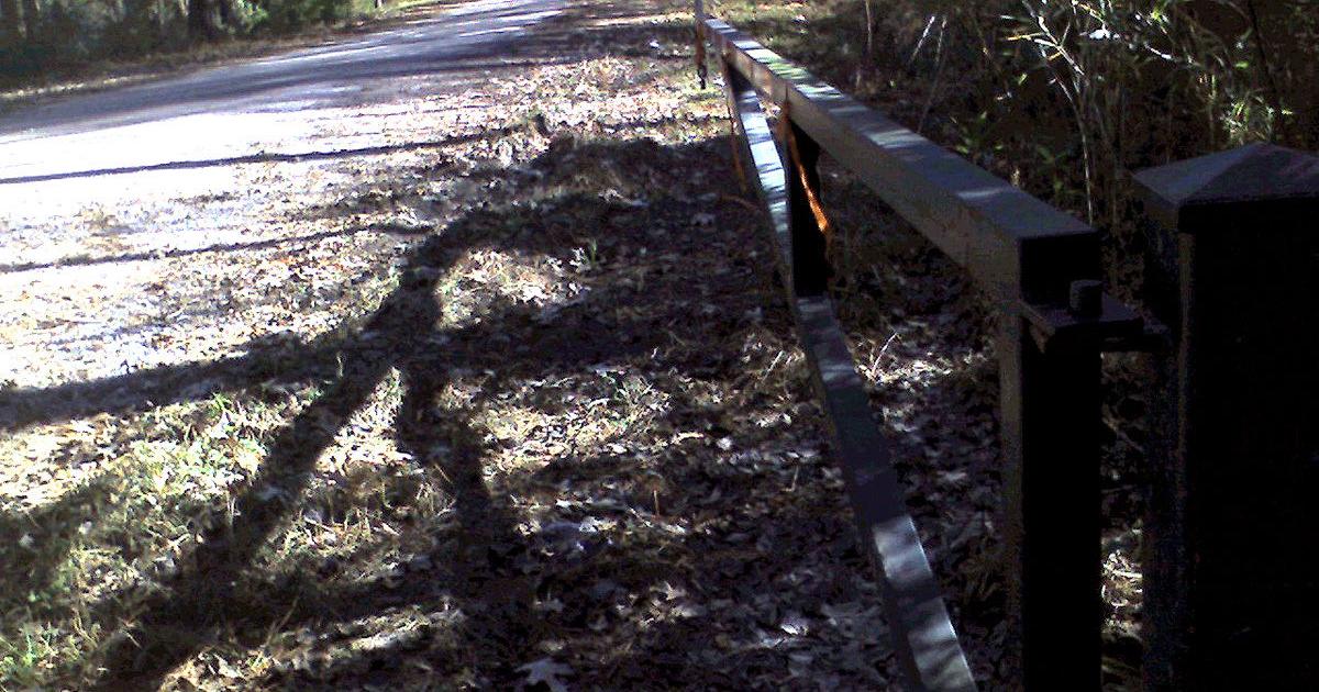 Bulow Landing in Charleston County, officials determine