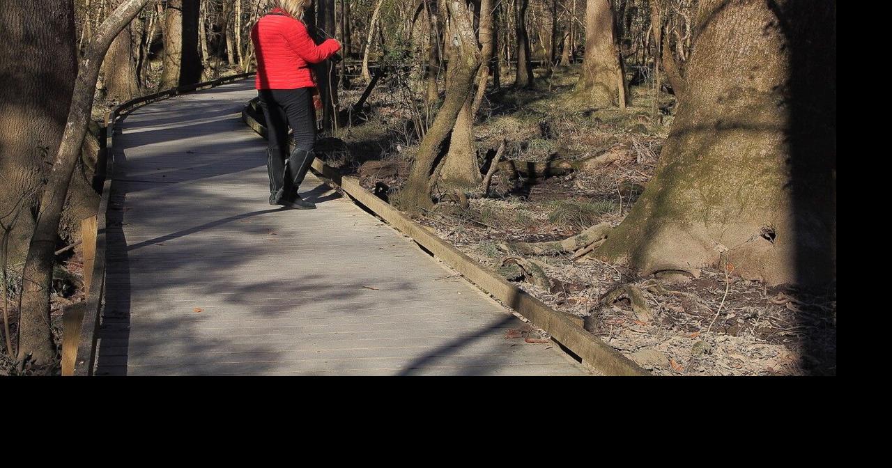 A Walk In Winter Woods