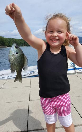 Trophy Case 8/27/17 | Trophy Case | postandcourier.com