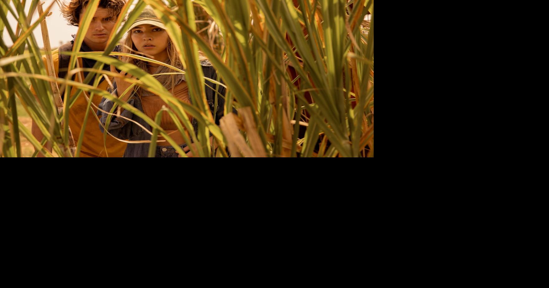 'Outer Banks' cast member killed in James Island hit-and-run ...