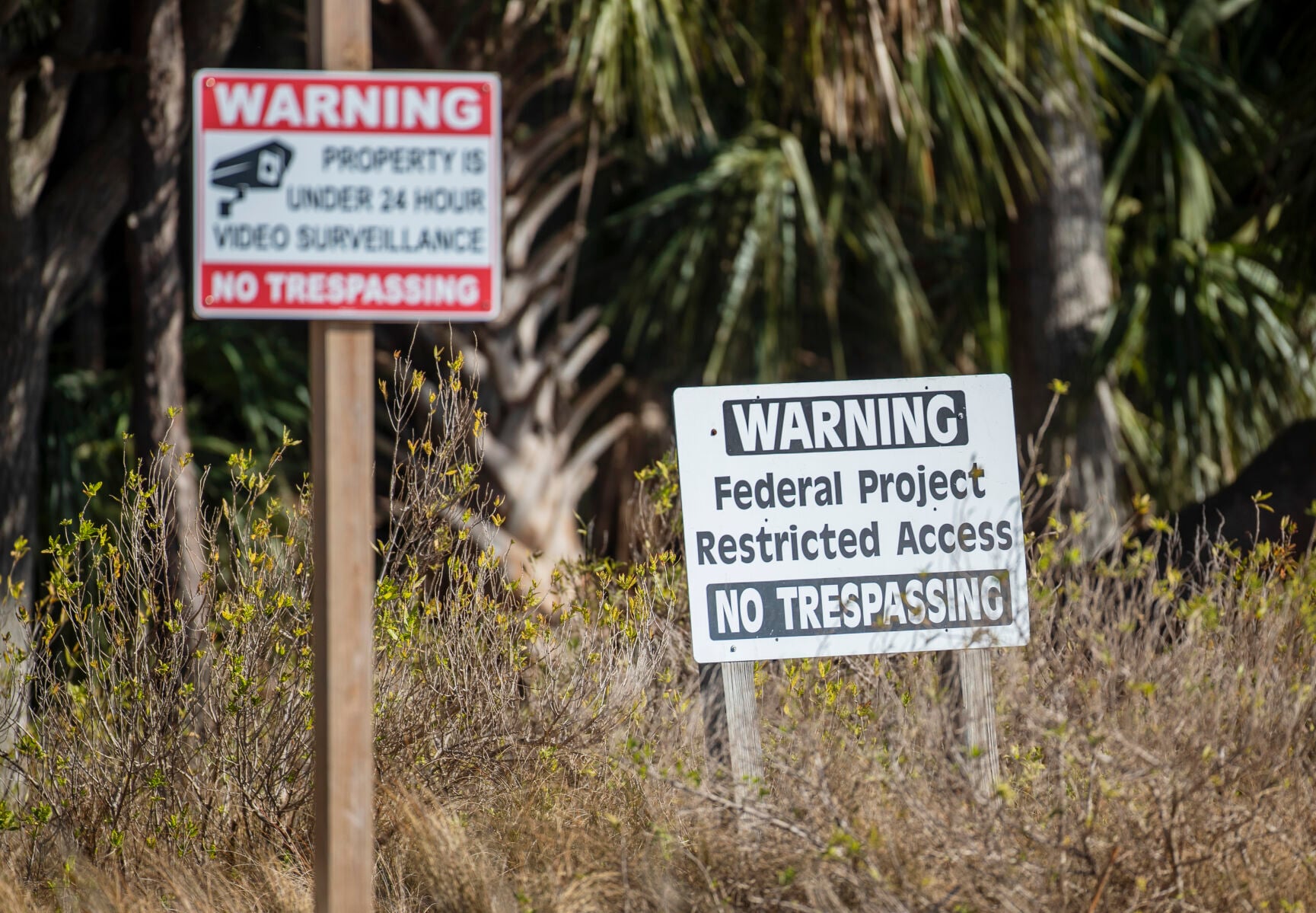 SC Morgan Island houses rhesus monkeys used in research