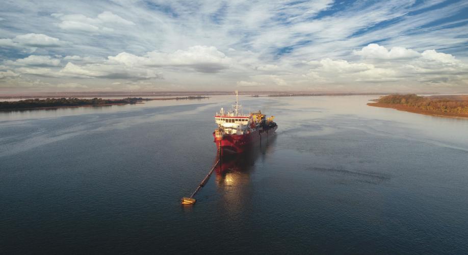 Sea turtle death toll ticks up as ports race to dredge | SC Climate and ...