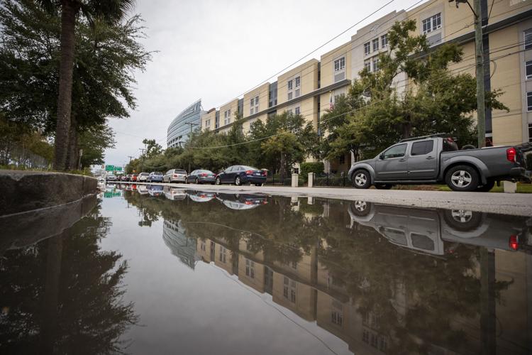 Bailey: What Roper won’t say but everyone knows about its move off the ...