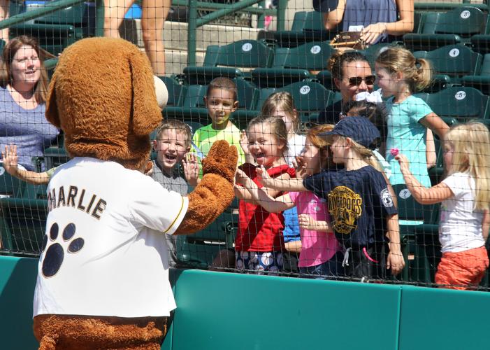 Education Day at the RiverDogs