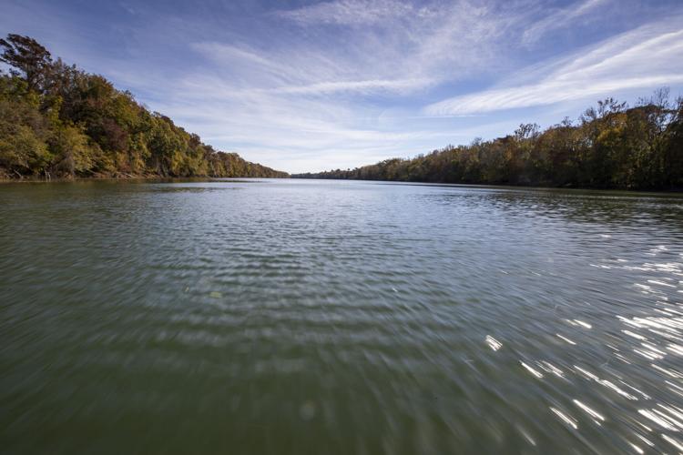 Conservation groups protect thousands of acres in Santee Delta as new ...