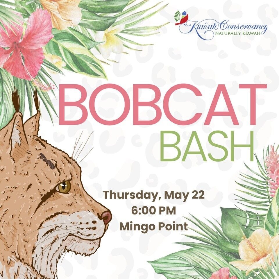 Page A12 | E‑Paper – The Post and Courier | Full Digital SC’s Top Newspaper