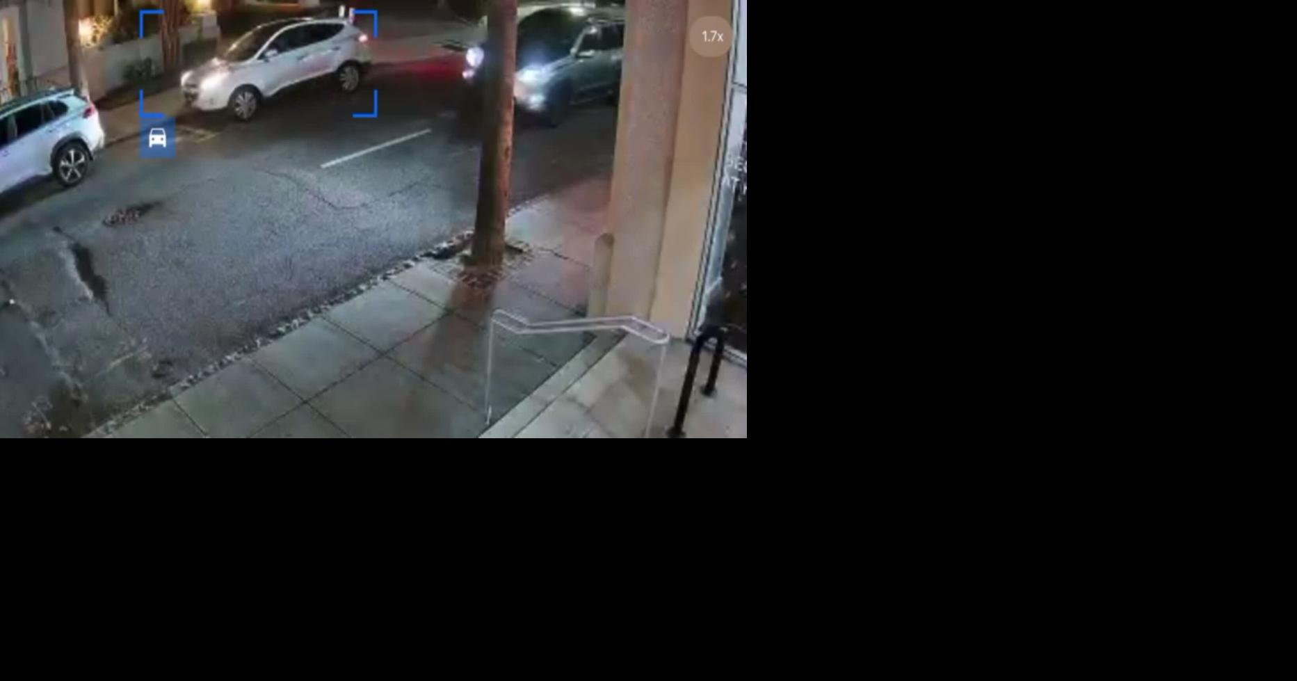 Uber Eats driver steals Willa the Charleston cat, say police