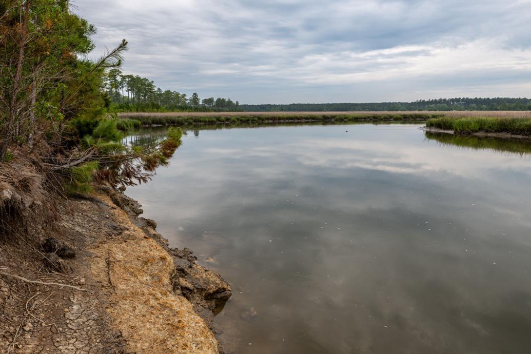 Chelsea Plantation deal a creative conservation win in SC