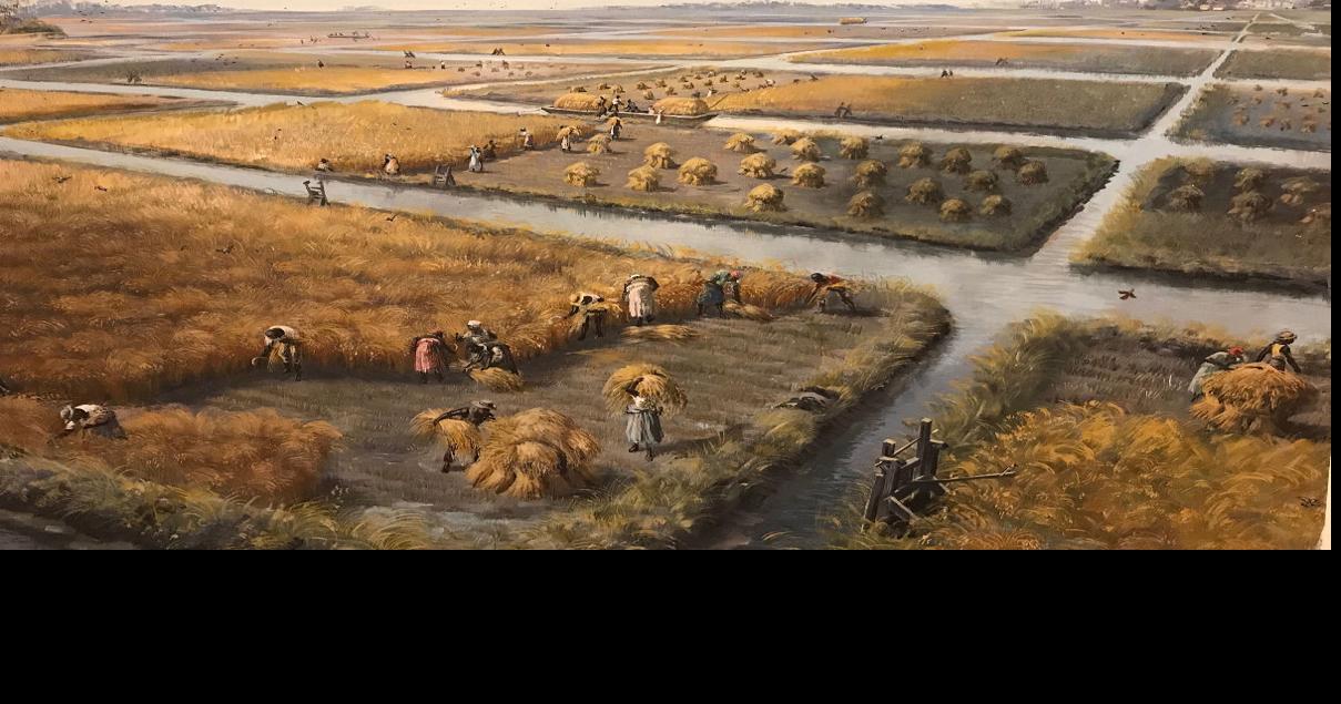 Built by enslaved people, Lowcountry rice impoundments now