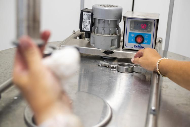 Photos: Farm animals kid around at The Goatery on Kiawah River