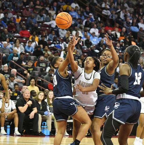 Lady Gators strike gold again (with video)