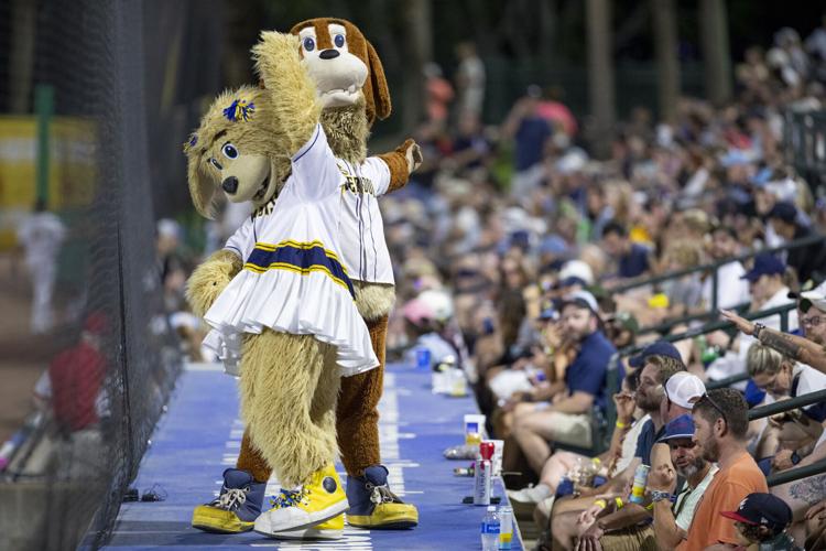 Things to do in Charleston SC May 16-18