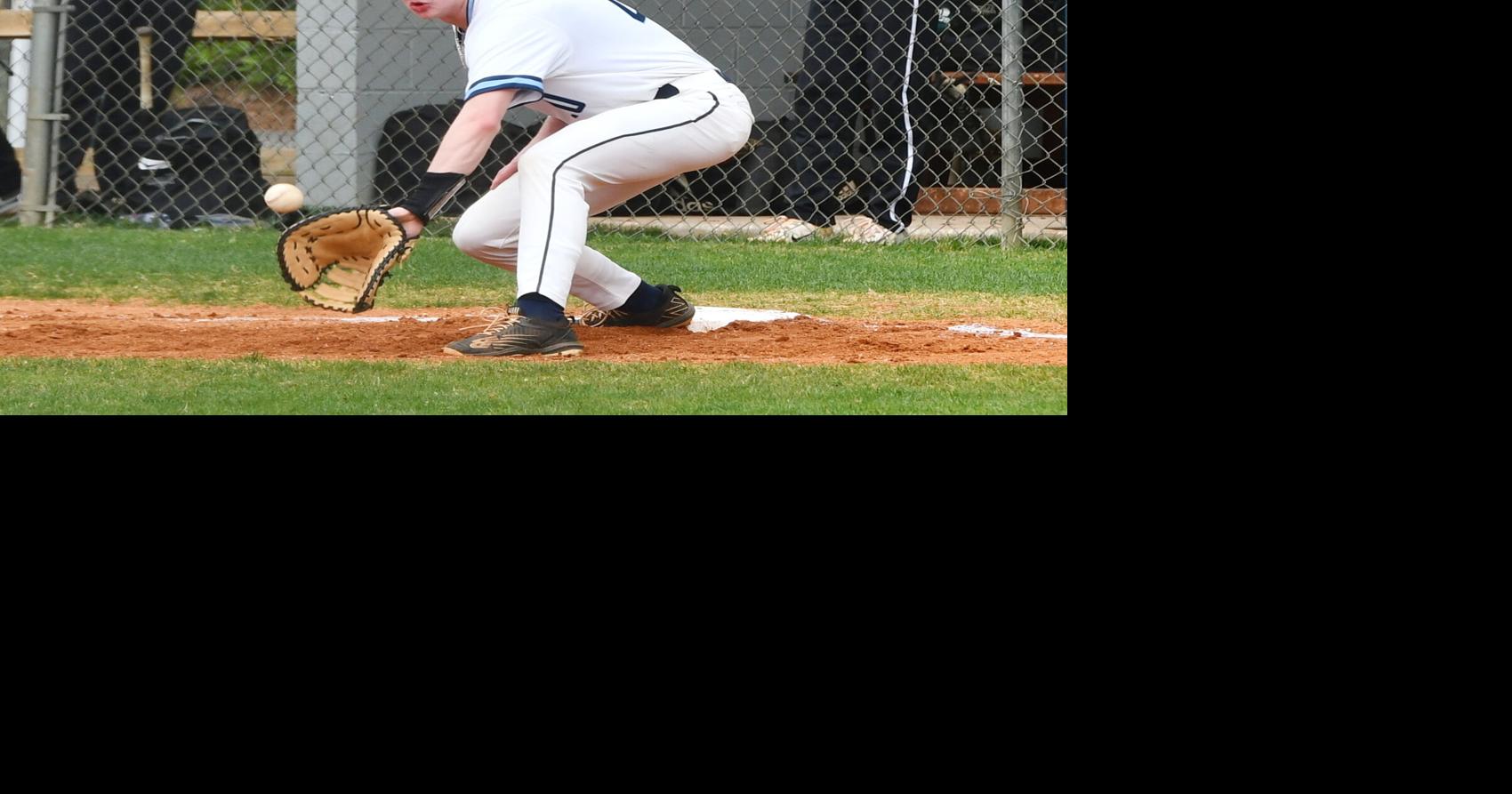 PREPS WRAP: Panthers win on the diamond, local track results | Prep ...