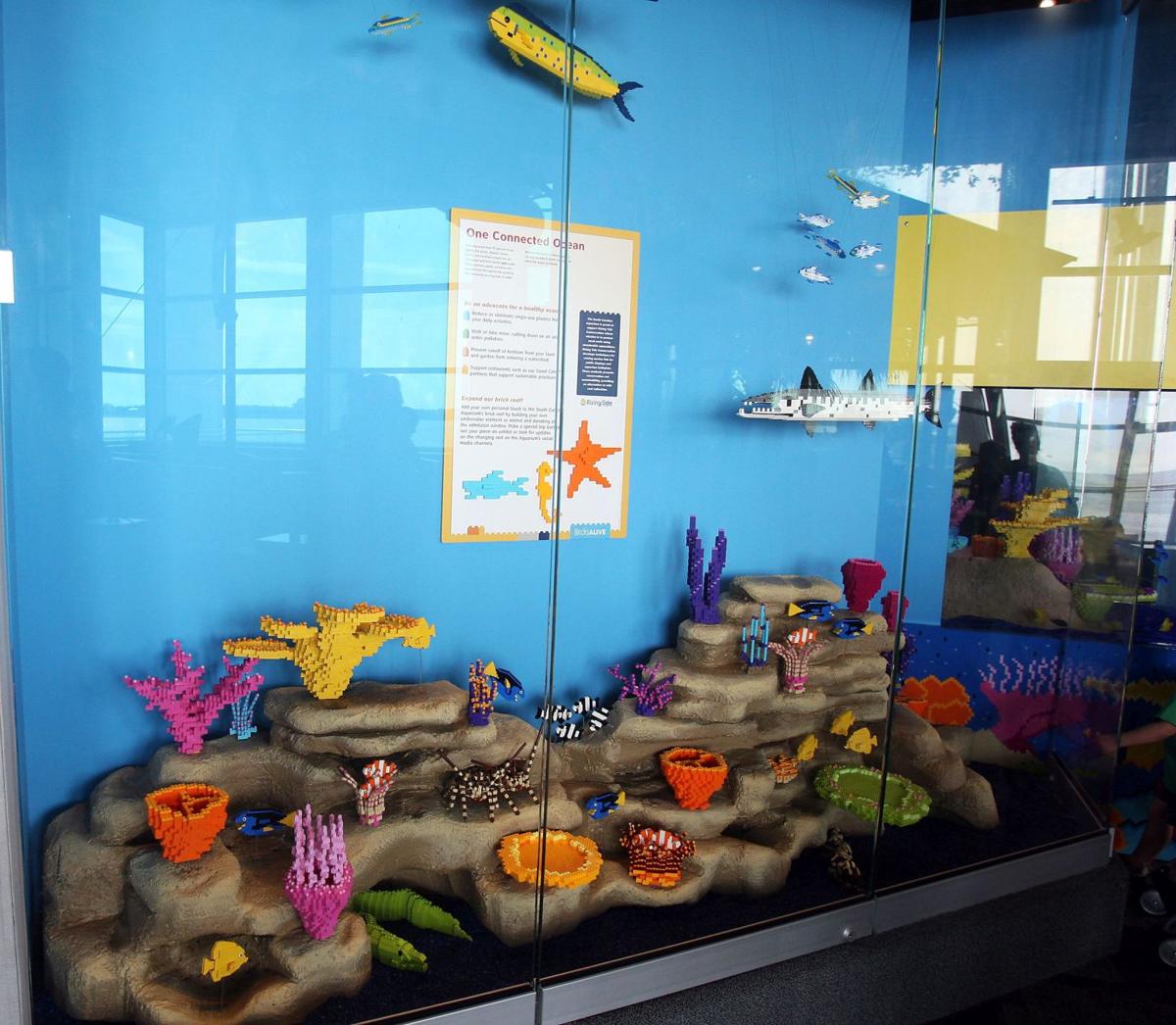 Bricks Alive exhibit | Archives | postandcourier.com