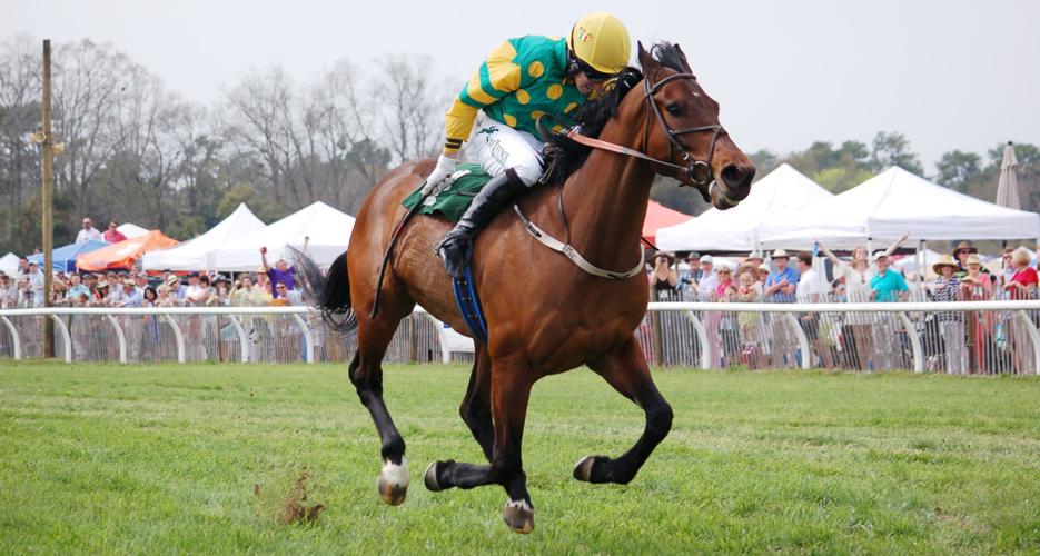 Aiken Spring Steeplechase continues Aiken Triple Crown