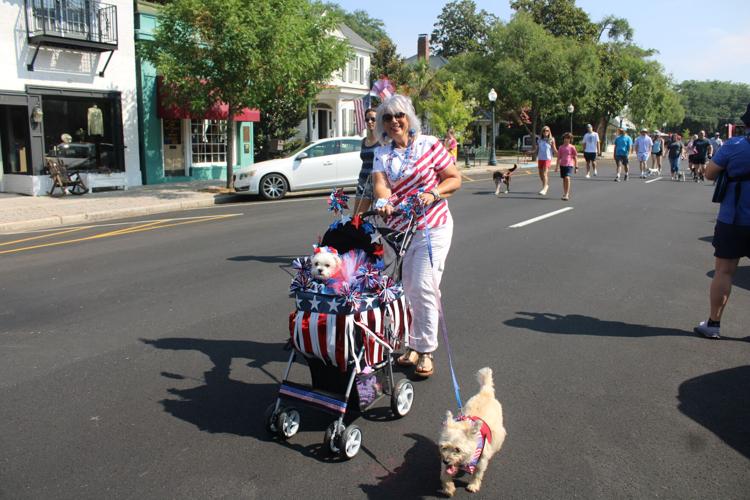 Patriotic dogs stroll downtown Aiken for parade