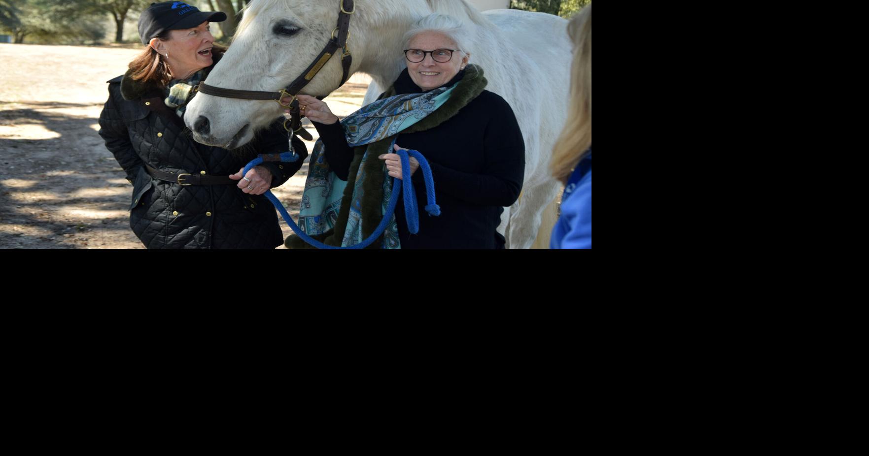 Aiken Mayor Teddy Milner meets Teddy the horse