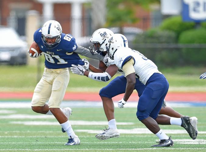 Evolution of Bucky: How Charleston Southern (and Disney) designed its ...