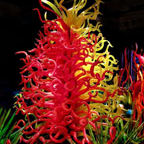 Reader photos: Pointy | Features | postandcourier.com