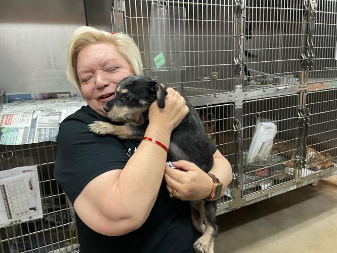 Spartanburg Humane Society plans to build new animal shelter