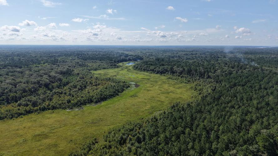 Project will conserve nearly 2,000 acres in Beaufort County