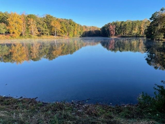 Spartanburg Duncan Park to hold 100th anniversary party