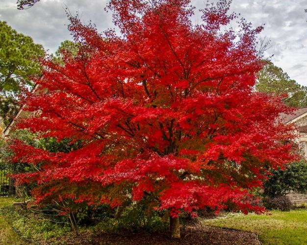 Reader Photos: Autumn