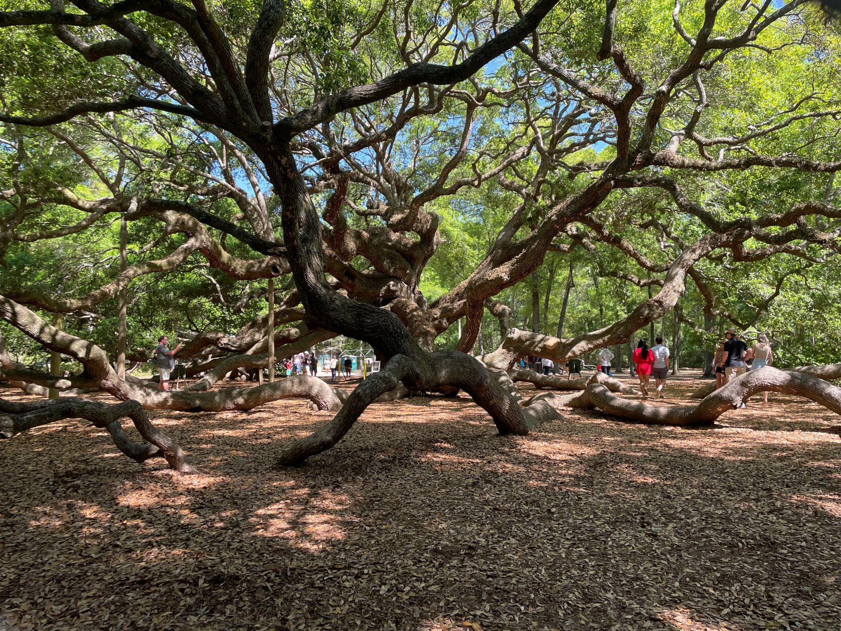 Page C9 | E‑Paper – The Post and Courier | Full Digital SC’s Top Newspaper