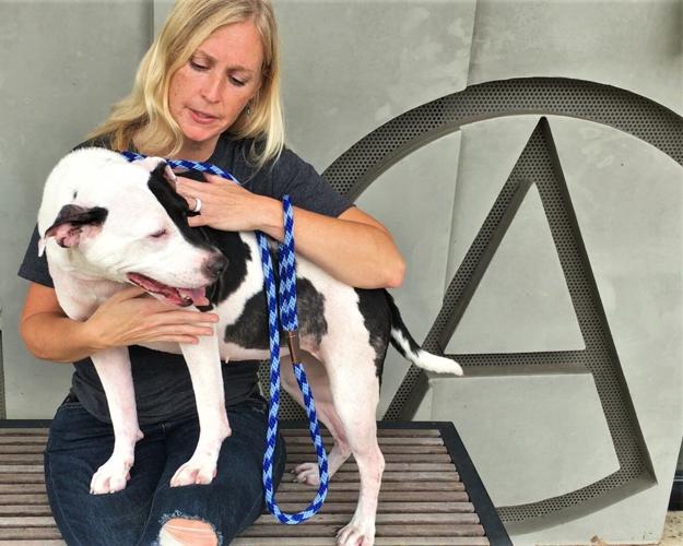 FOTAS: Aiken County Animal Shelter excellent example of doing things right